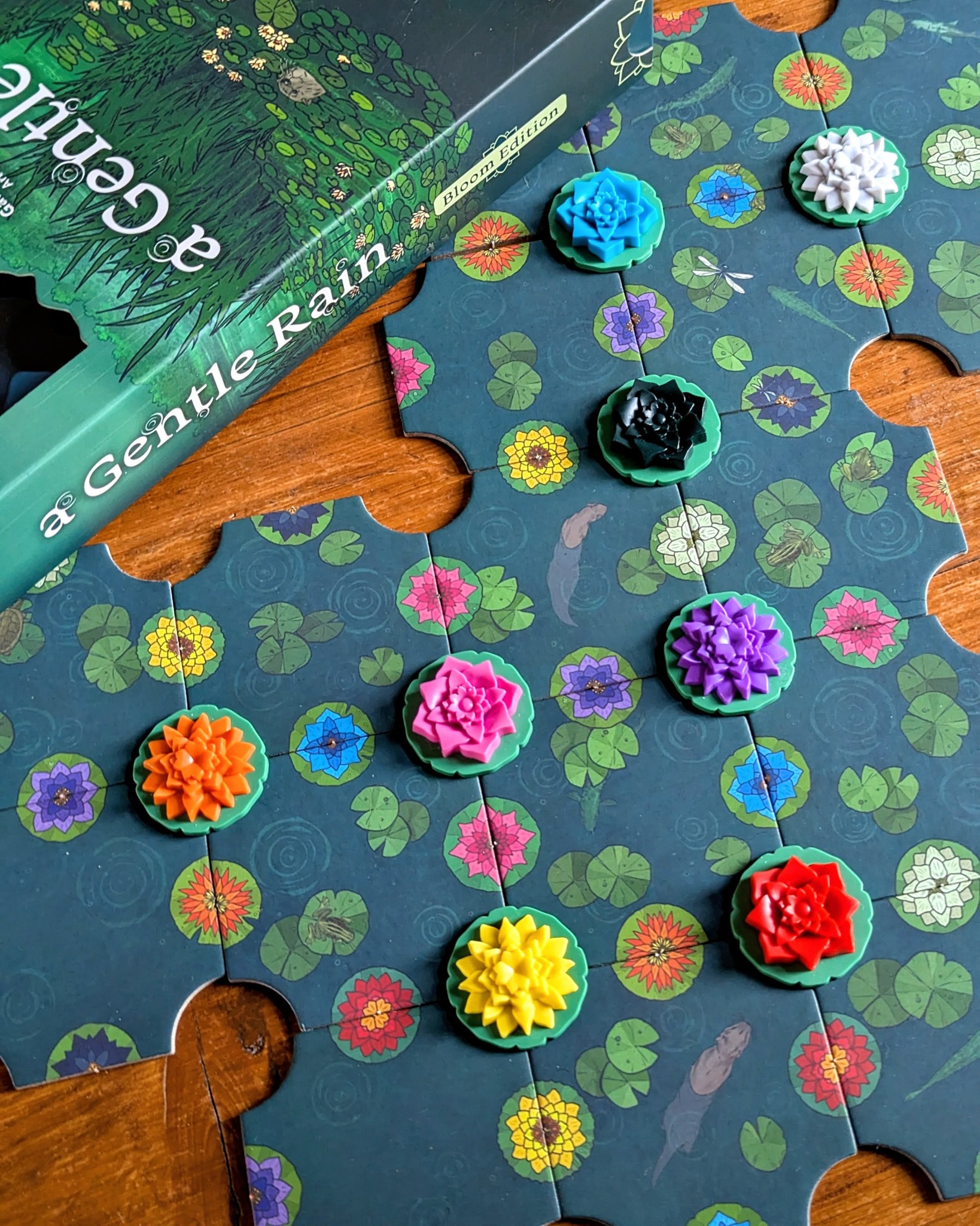 A Gentle Rain – Review – Our Board Game Life
