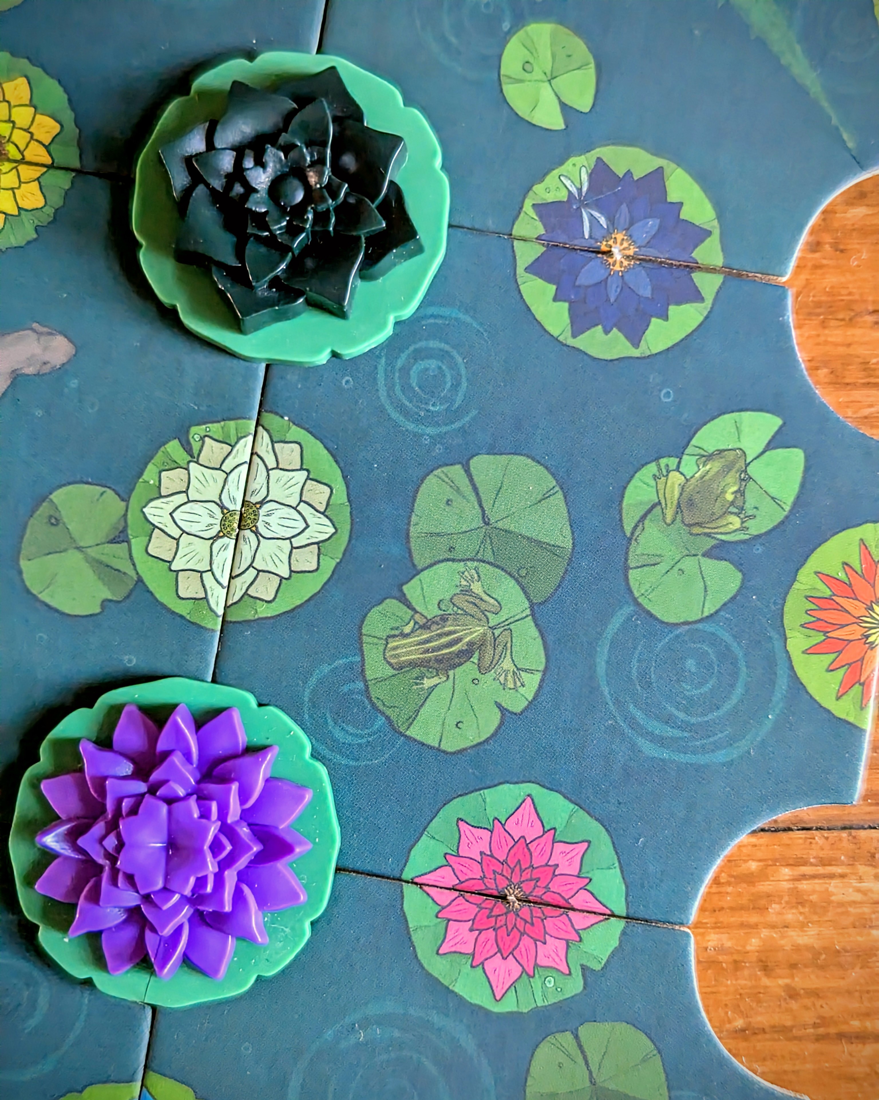 A Gentle Rain – Review – Our Board Game Life